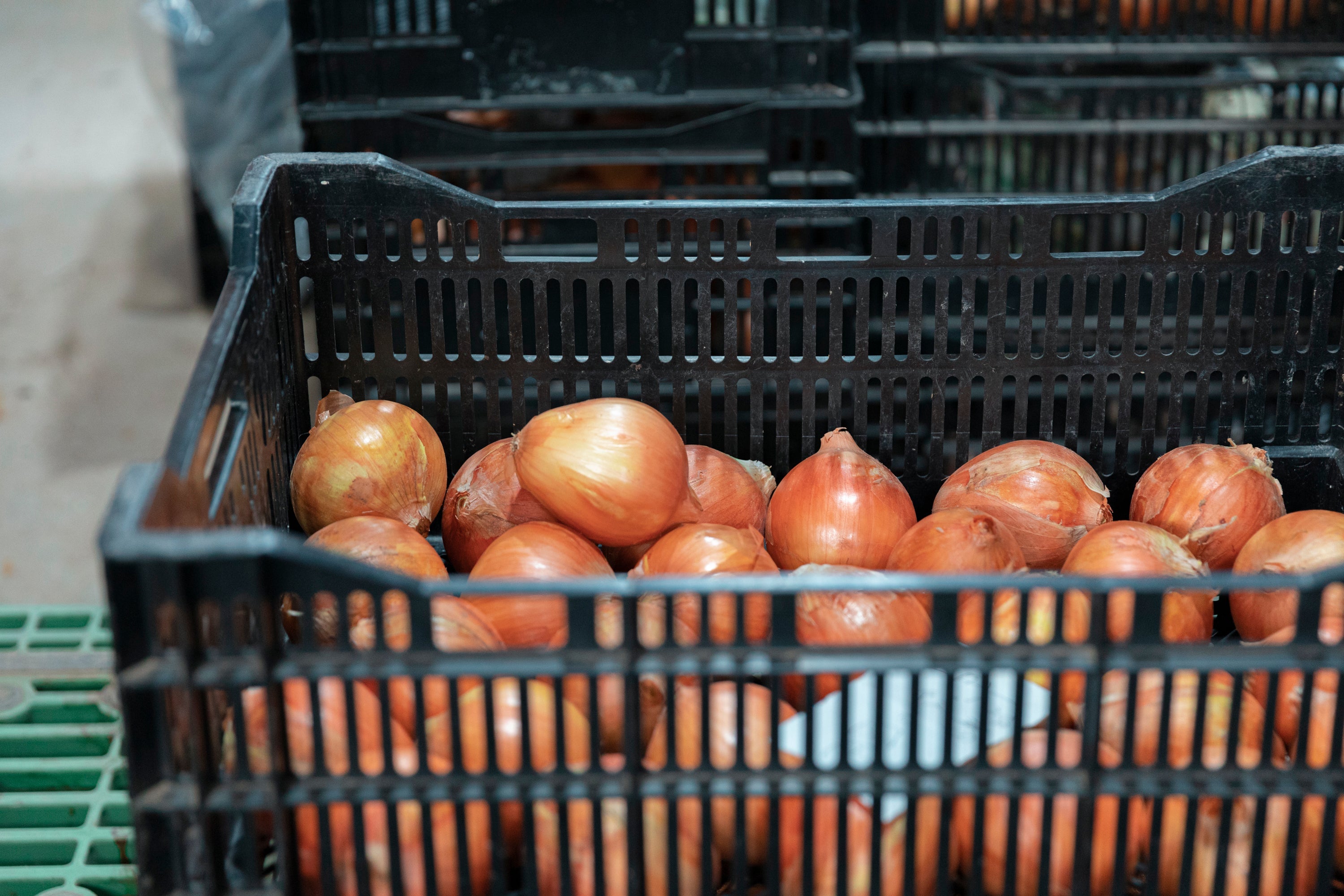 【日本の乾燥野菜の歴史】 保存と戦争の時代から現代まで | 乾燥野菜の専門通販サイトOYAOYA